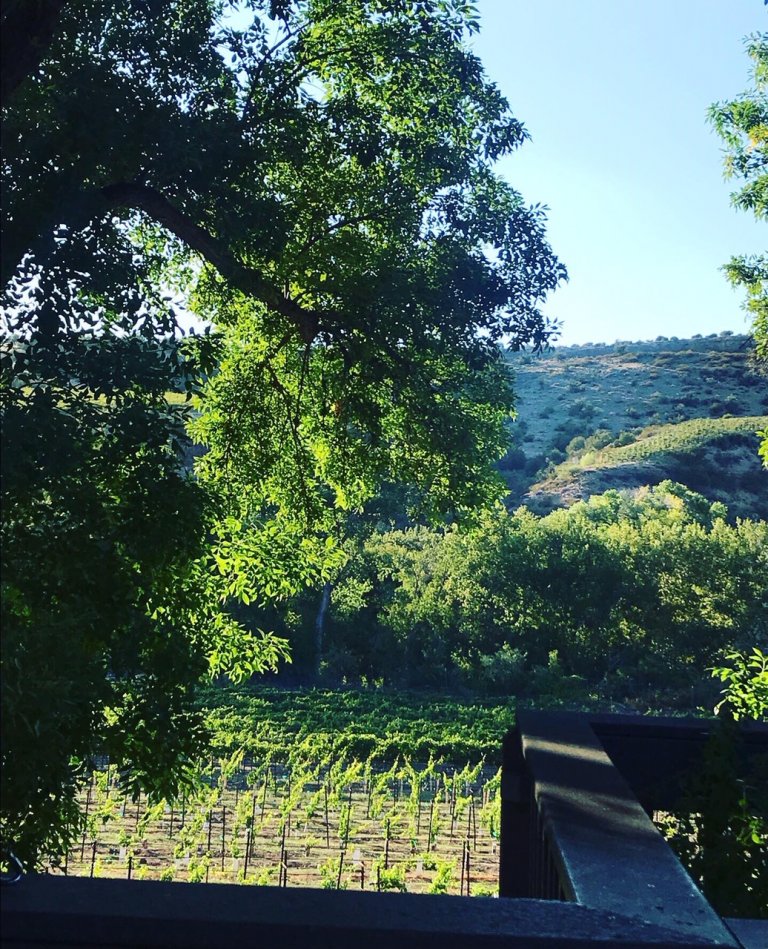 The Vineyards Bed & Breakfast - An Oasis in Arizona Wine Country - Red ...