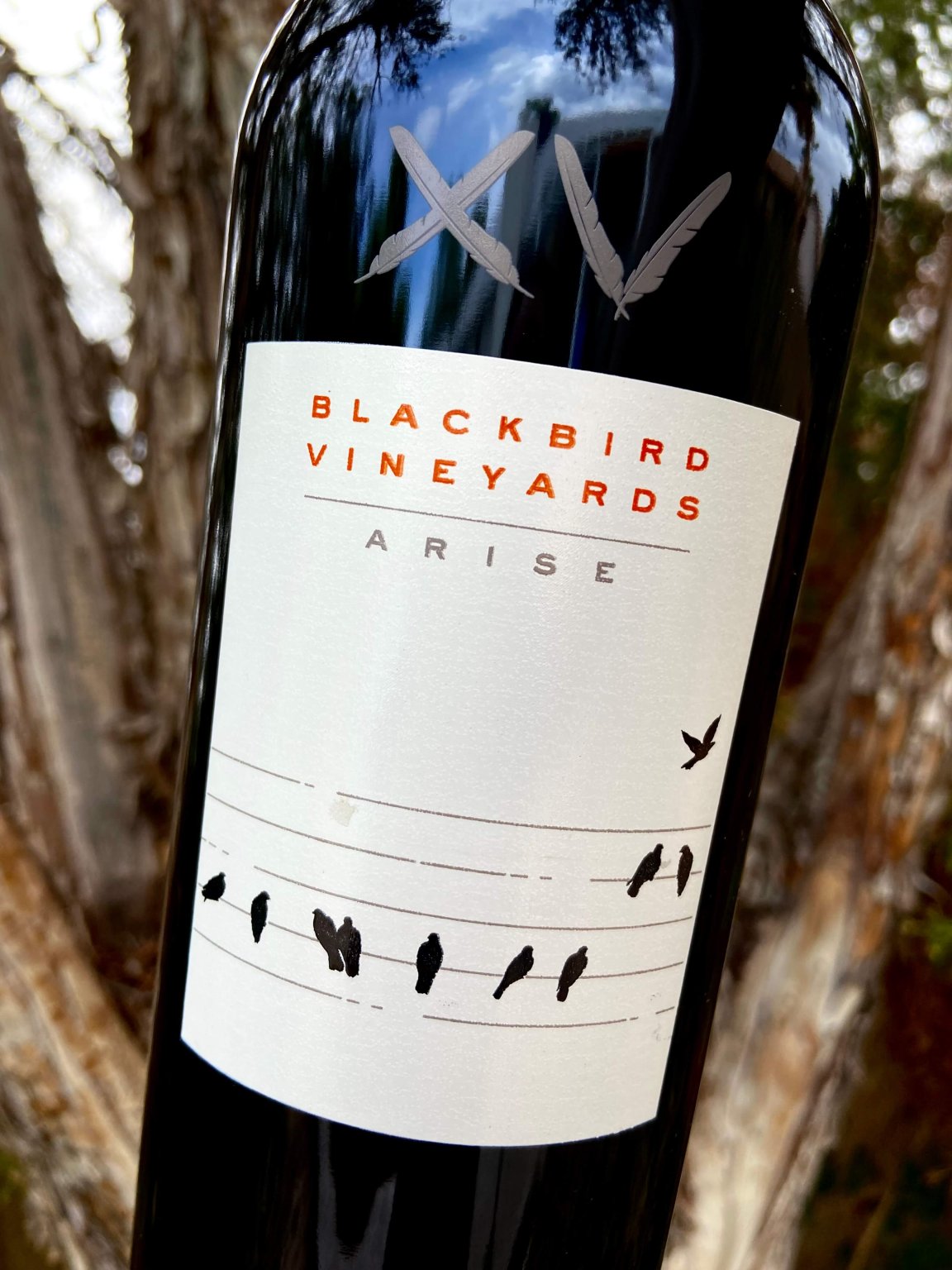 Blackbird Vineyards - Red Wine Cats
